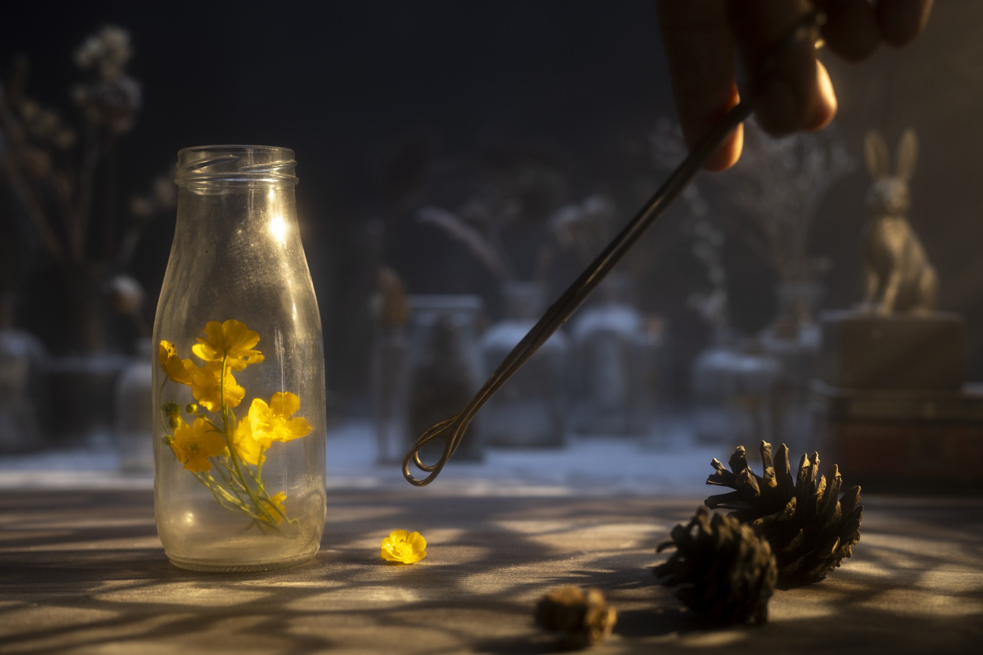 Capturing Spring - Process and Variations - Robert Barker Art and Photography